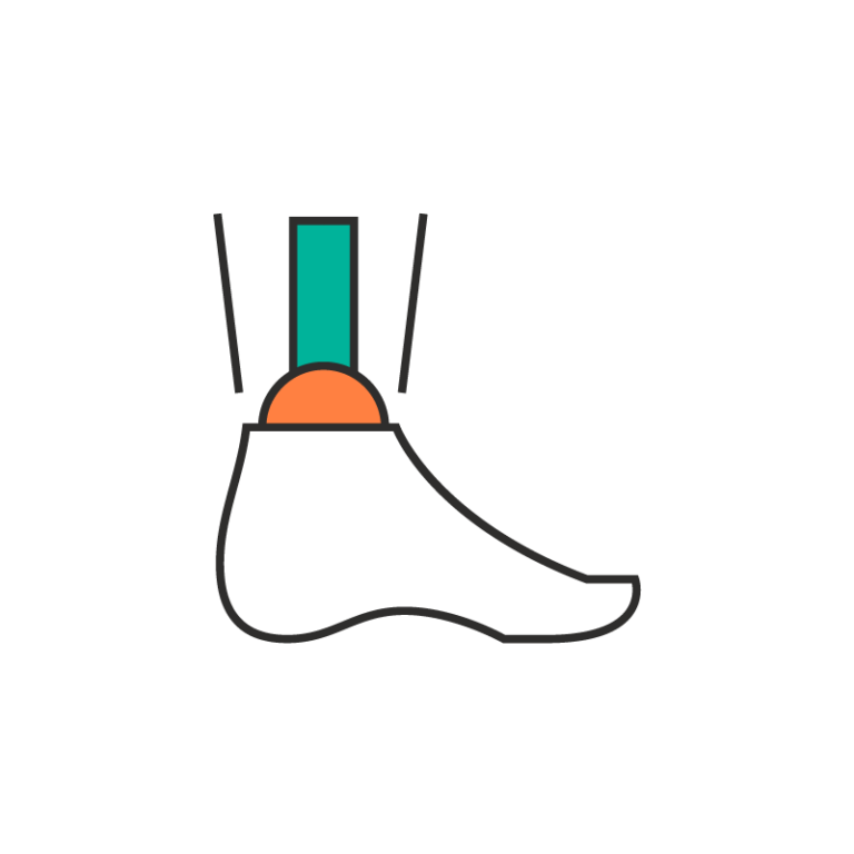 Charcot-Marie-Tooth Disease (CMT) – Frederick Foot And Ankle